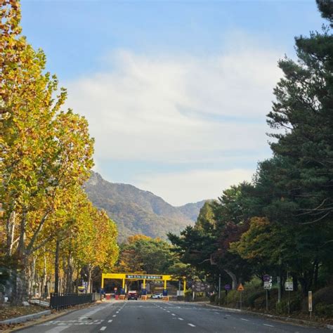 가을 단풍 절정인 과천 서울대공원 방문 둘레길 주차장 카페 네이버 블로그