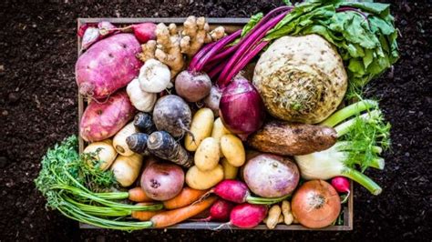 Fiber Rich Food మలబద్దకంతో బాధపడేవారు ఈ ఆహారాన్ని తిన్నారంటే