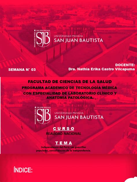 Sem 3 Realidad Nacional Pdf Perú Guerra De Guerrillas