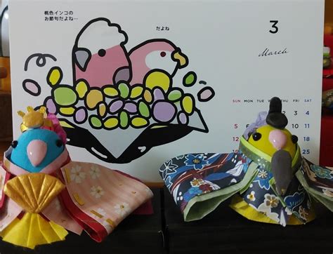 3月3日桃の節句 セキセイさんとマメルリちゃんの交遊録