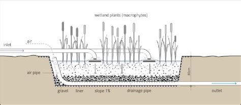 Schematic Diagram Of Vertical Sub Surface Flow Constructed Wetland