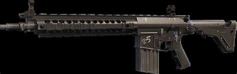 Sr25
