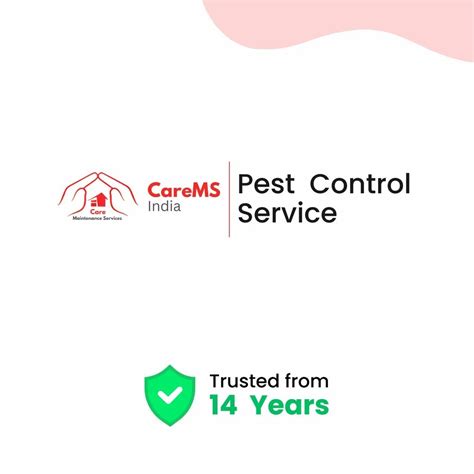 Anti Termite Treatment At ₹ 15 In New Delhi Id 2854322062248