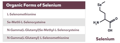 Total Selenium 200 Mcg Plant Based Selenium Triquetra™