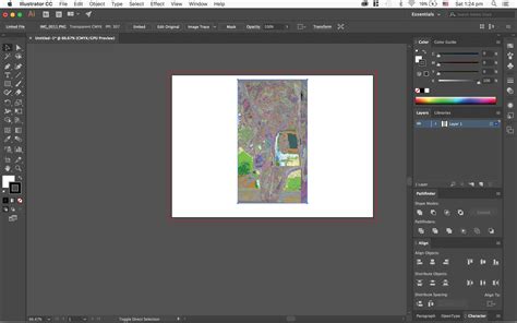 Placed Imagephoto In Illustrator Appears Distorte Adobe Community 8968549