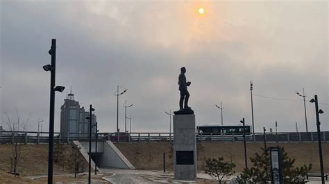 Картина дня в Приморье ЧП в Океанариуме мордобой на месте ДТП и дети в окне — Новости Дальнего