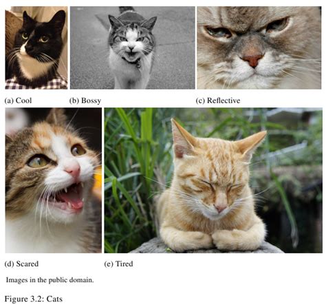 Subfloats Break A Subfigure Set In Two Lines Tex Latex Stack Exchange