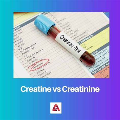 Creatine Vs Creatinine Difference And Comparison