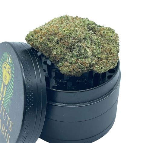 Balanced Hybrid Flower Uplifting Energizing Relief