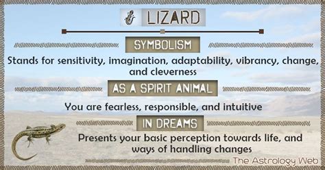 Lizard Symbolism Spirit Animal Dream Spirit Animal Spirit Animal