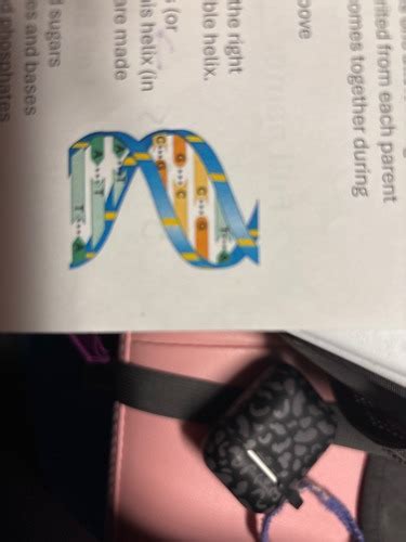 Bio Multiple Choice Final Flashcards Quizlet