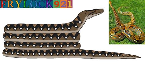 Reticulated Python By Frylock921 On DeviantArt