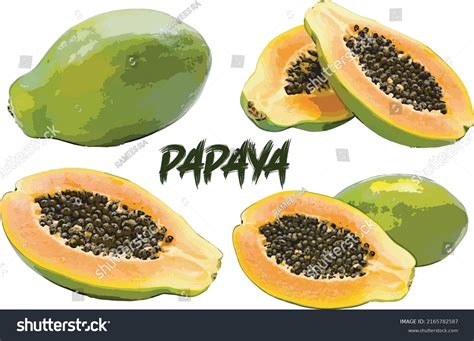 Cartoon Papaya Over 7 652 Royalty Free Licensable Stock Vectors And Vector Art Shutterstock