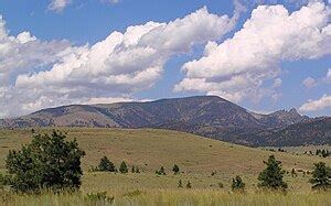 Helena Montana Wikipédia