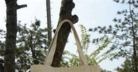 솔가가 친환경 에코백을 드립니다