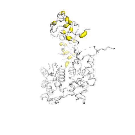 Neb Gene Somatic Mutations In Cancer