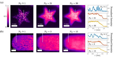 Meta Holographic Images Under Varying Spatial Coherence Dcl Download Scientific Diagram