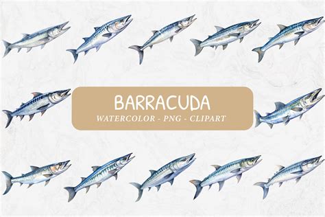Barracuda Graphic By Imaginiac · Creative Fabrica