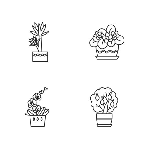 Decoratieve Kamerplanten Pixel Perfecte Lineaire Iconen Set 3117584