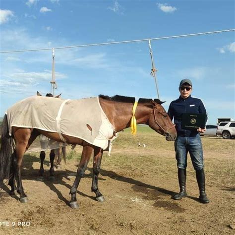 Малын их эмч Б Баяржаргал