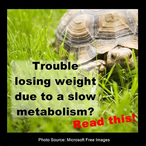 Have You Got A Slow Metabolism Triathlon Nutrition Coach