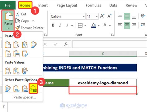 How To Insert Picture In Excel Using Formula 2 Examples