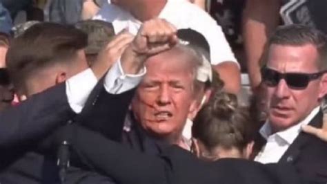 Donald Trump Sufrió Un Atentado En Pleno Acto De Campaña