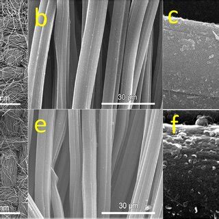 SEM Images With Different Resolution Of Untreated CC Ac And TACC Download Scientific Diagram