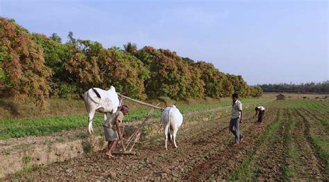 How Can We Improve Farmers Income In India Modern Agriculture India