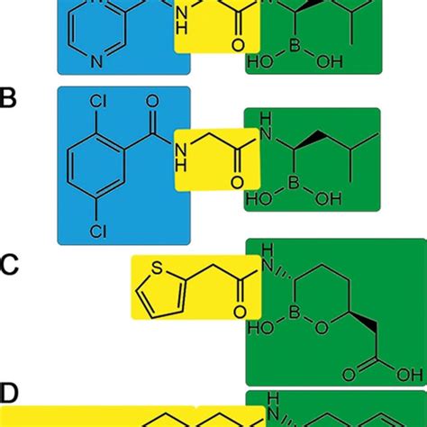 Structural Diagrams Of The N Protected Tripeptide Bortezomib A And