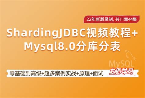 22年新版 架构师系列 新版shardingjdbc分库分表mysql数据库实战 小白自学网