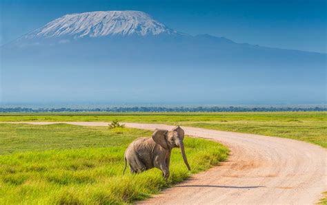 Amboseli National Park Africa Destination Micato Safaris