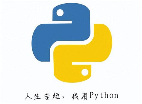 轻松五分钟学会python变量与数据类型，开启你的编程之旅！