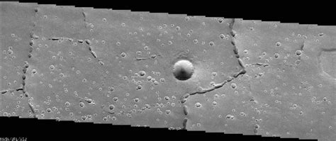 Crater Catalog Extracted From Mars Odyssey Data Image Courtesy Of Download Scientific Diagram