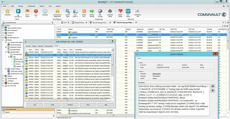 Sap Hana Catalog Backup Failing Community