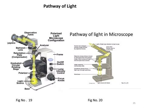 Polarising Microscope Pptx