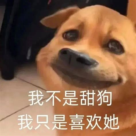 孙怡董子健官宣离婚？！网友傻眼：原来这就是明星分开的前兆via生活星星