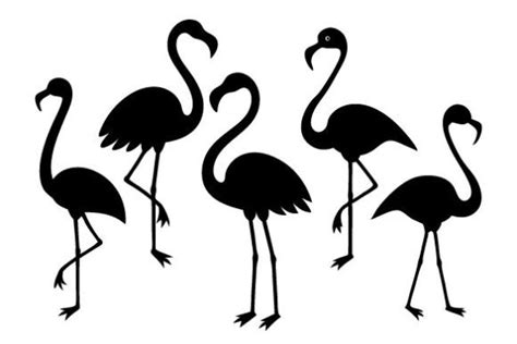 Flamingo Silhouette Svg Flamingo Icon Graphic By Layout Design