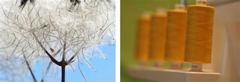 Differences Between Cotton And Polyester