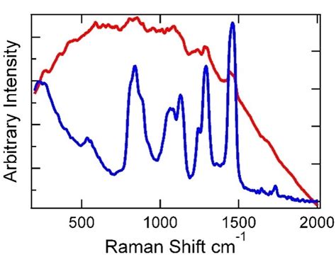 Handheld Raman Analyzers For Rapid In Field Chemical Analysis