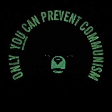 Only You Can Prevent Communism Pvc Morale Patch Hook Back Luminous