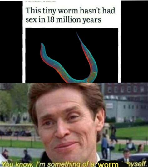 The Best Worm Memes Memedroid