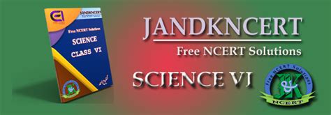 Free NCERT Solutions For Class Th Science