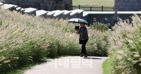 [포토]가을로 향하는 길
