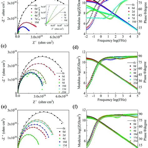 Ace Bode And Bdf Nyquist Diagrams Ab The Ep Coating Cd Download Scientific