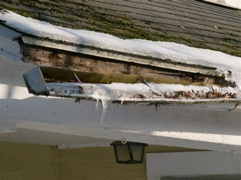 What To Do When Your Gutter Is Damaged The Frisky