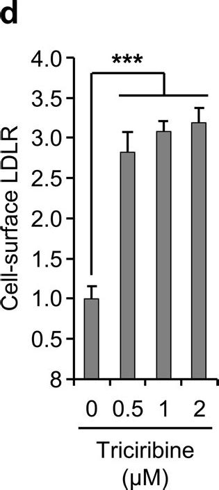 Ldlr Antibodies Antibody Search Engine Citeab