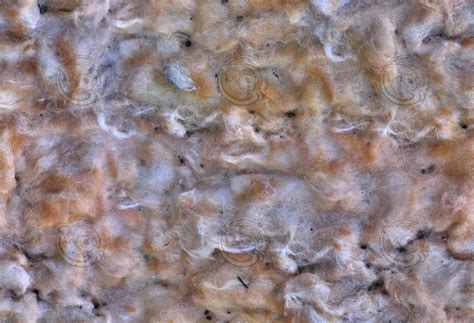 Texture Windows Bitmap Textile Tileable Material