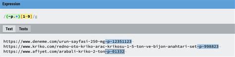 RegEx Nedir SEO Projelerinde RegEx Nasıl Kullanılır 15 Örnek Kriko Blog