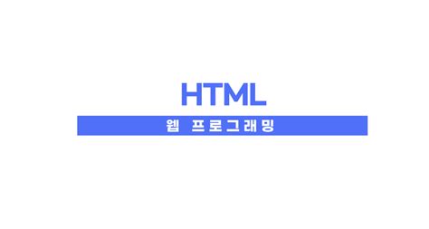 웹프로그래밍 Html 기초